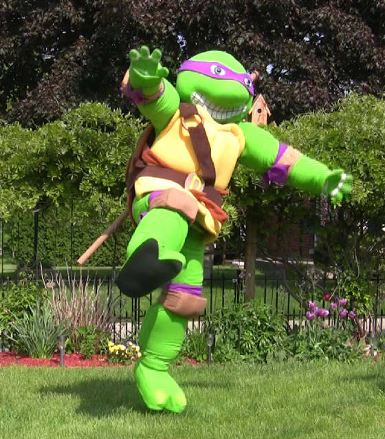 Turtle_Purple_06.jpg